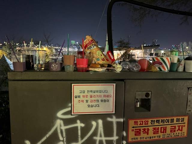 낯뜨거운 시민의식 흐드러진 벚꽃 사이로 쓰레기 몸살