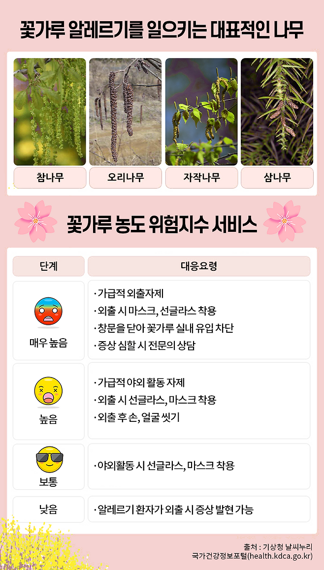 봄만 되면 에취 훌쩍훌쩍꽃가루 알레르기 1일 1짤