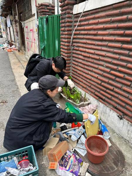 벚꽃 활짝 핀 봄날잡초를 구하러 갔다 남기자의 체헐리즘