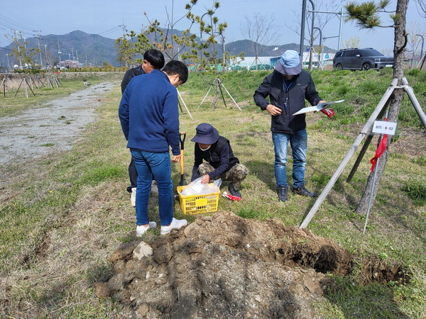에코델타 조경 참사부산시·수자원公 합동 토양오염 검사 착수