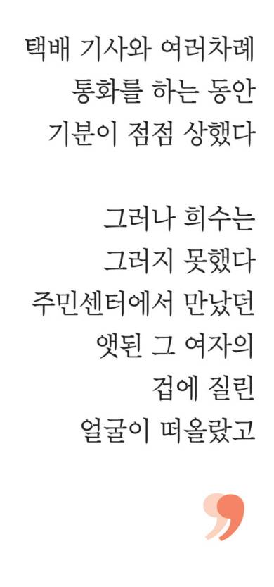배송된 택배 상자가 감쪽같이 사라졌다 누군가 돌려주러 오지 않을까 소설 한국을 말하다