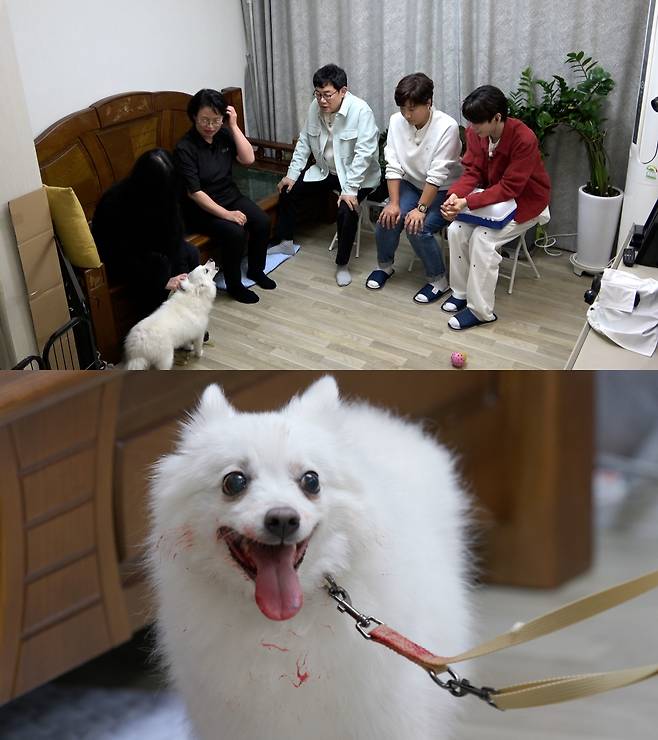 Jd1 정동원 내가 봐도 X팔렸다한 수 위 견습생 등장 개훌륭