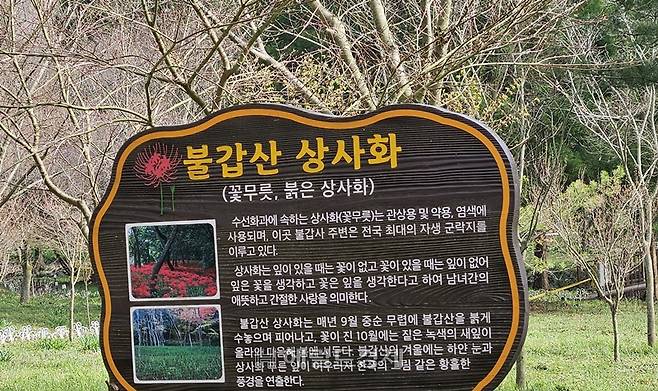 1600년 전 인도승려가 도착한 땅, 그곳의 마라난타사와 불갑사 [정용식의 내마음대로 사찰여행 비경 100선]