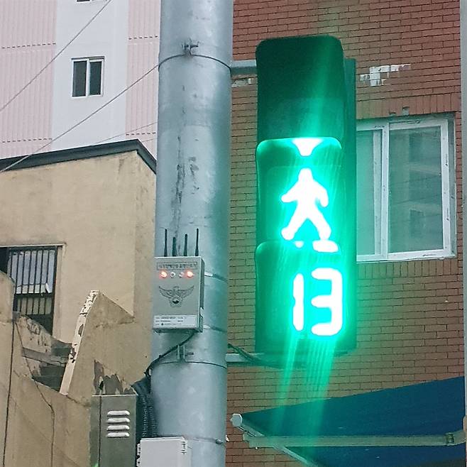 빨간불에 횡단보도를 건너는 이유