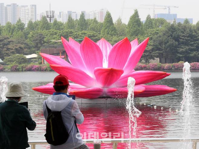 포토 일산호수공원 꽃박람회