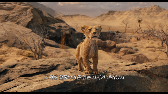 와씨 심바 아빠 ‘무파사 라이온킹 12월 개봉 공식