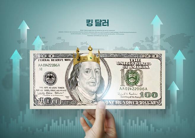 ‘킹달러에 짓눌린 세계 경제아시아는 ‘외환위기 악몽을 꾼다