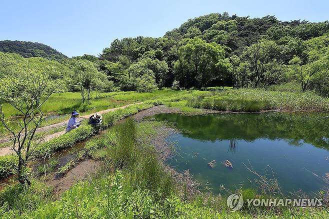 람사르습지 등록 광주 평두메 습지 보존·활용 대책 추진