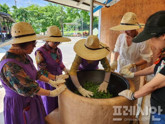 차 따고 만들고 보성 차 향에 취하다차인회·한방꽃사랑회 차만들기 체험