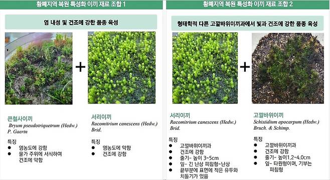 충남 새 탄소흡수원 ‘이끼 산업 육성 모색