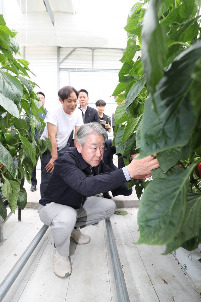 강호동 농협중앙회장 강원 철원·고성서 현장경영