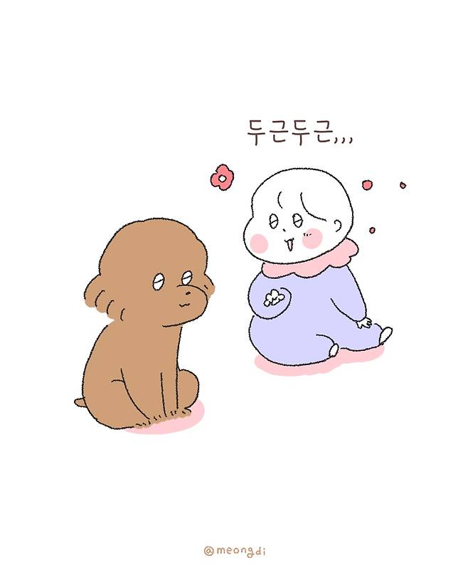 밖에서만 얌전한 강아지 키니일기