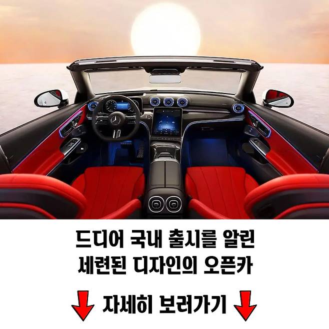 과연 우리나라에서 볼 수 있을까 전세계 100대 한정으로 출시한 고성능 럭셔리 오픈카 토픽트리