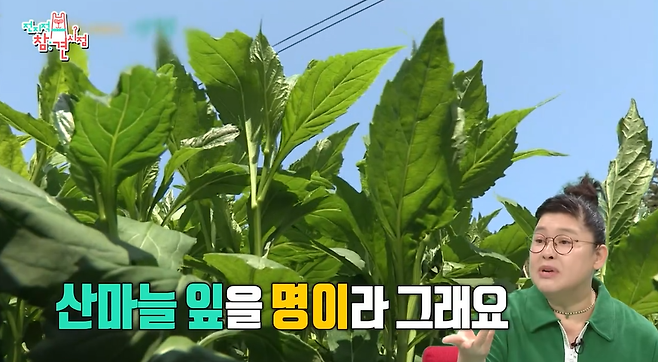 겨울에 먹을 게 없을 때 먹던 명이 에브리원해