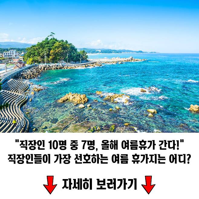무려 49년 만에 공개된 숨겨진 보물 올해 꼭 가봐야 할 국내 비밀의 숲 여행을말하다