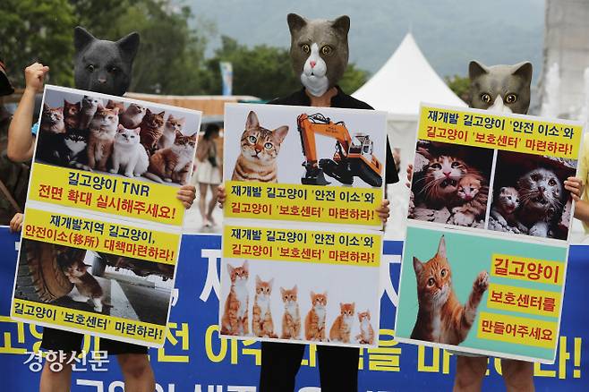 세계 고양이의날 ‘길냥이 보호 촉구 포토뉴스