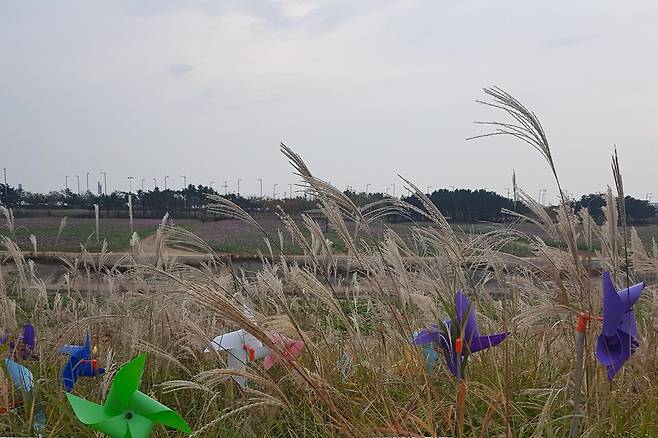 인천 당일 치기 여행” 인천공항 인근에서 즐기는 인천 혼자 가볼만한 곳 Best4 추천 인포매틱스뷰 세상모든여행정보