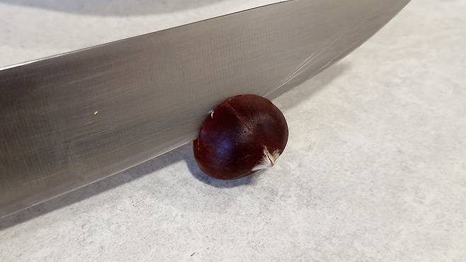 병뚜껑 하나면 1초에 하나씩 밤 껍질이 벗겨져요 밤 껍질 쉽게 까는 법 최주부