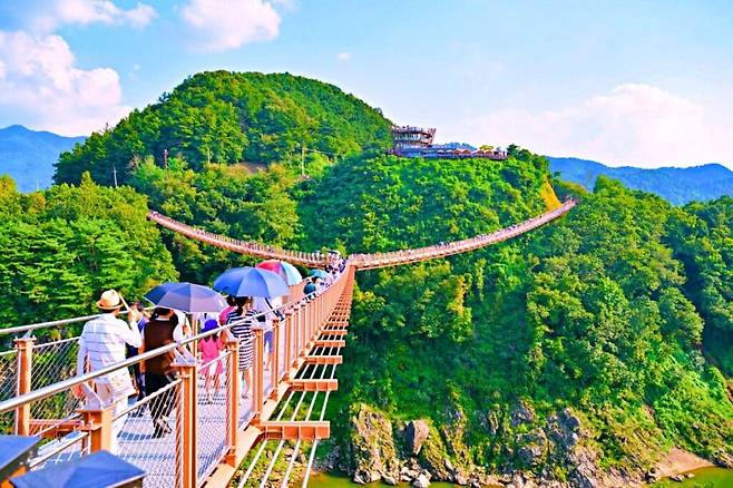 출렁다리만 유명한 줄 알았나요 가을 절경 숨겨진 자연명소 2곳 여행탐구