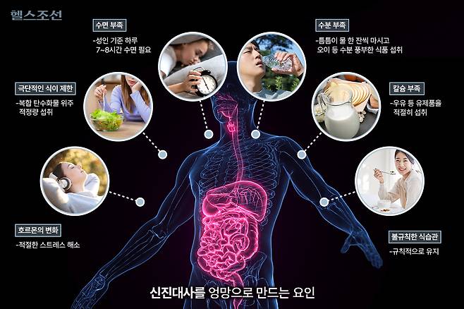 전혀 몰랐는데” 매일 하는 ‘이것 내 신진대사 엉망으로 만들어