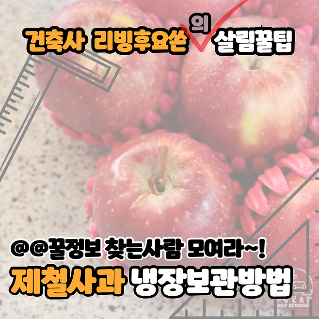 제철 사과 간편한 냉장보관 방법 건축사 리빙후요쓴의 살림꿀팁