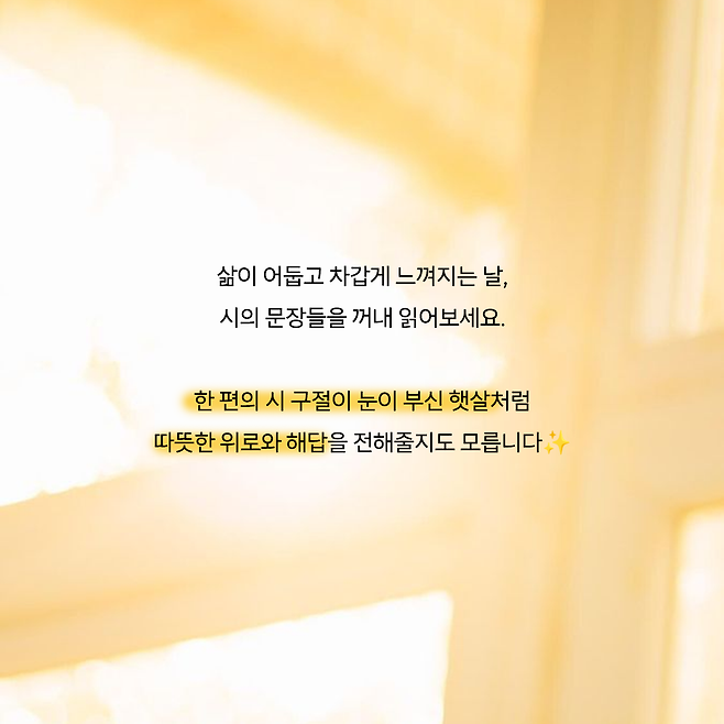 후배들 울린 김혜자의 감동적인 수상소감 지금 삶이 힘들다면 꿀벌책방