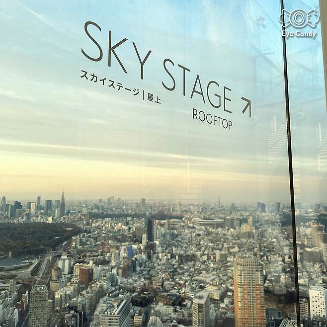 🗼 도쿄의 절경을 한눈에 시부야 스카이 🌆 내일로여행
