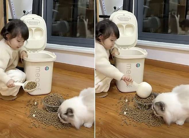 딸에게 고양이 사료 좀 챙겨달라고 부탁했더니 잠시후 벌어진 상황 애니멀 플래닛