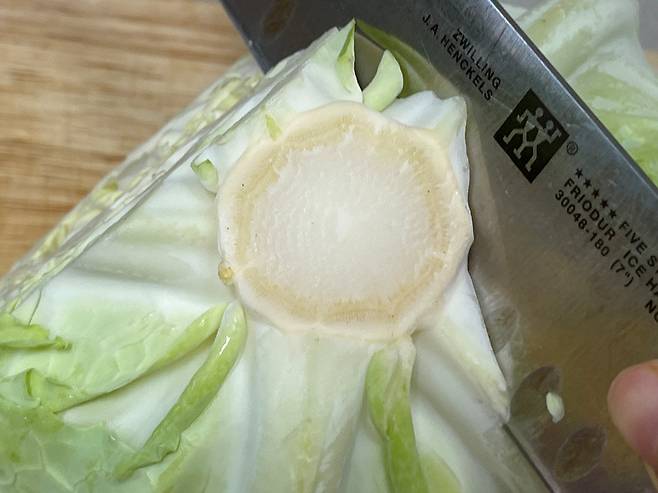 양배추 그냥 냉장고에 두지 마세요 이것 덮었더니 먹는 내내 싱싱합니다 텐바디