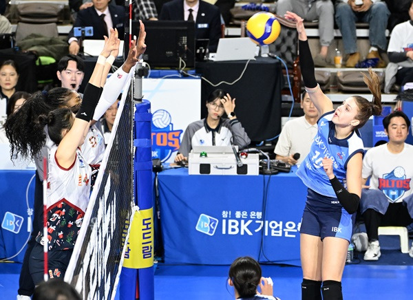 모마 정지윤 폭발 현대건설 Ibk기업은행에 셧아웃 승리
