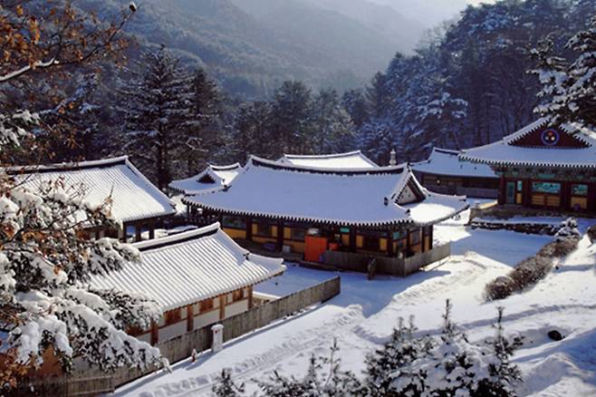 해외인 줄 알았네 이번 겨울 놓치면 후회 할 국내 겨울 명소 여행을말하다