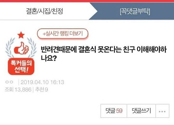 반려견 때문에 결혼식 못 온다는 친구 이해해줘야 하나요 심리테스트 해볼래