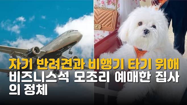 건국대 수의학과에 존재하는 특수 학생 심리테스트 해볼래
