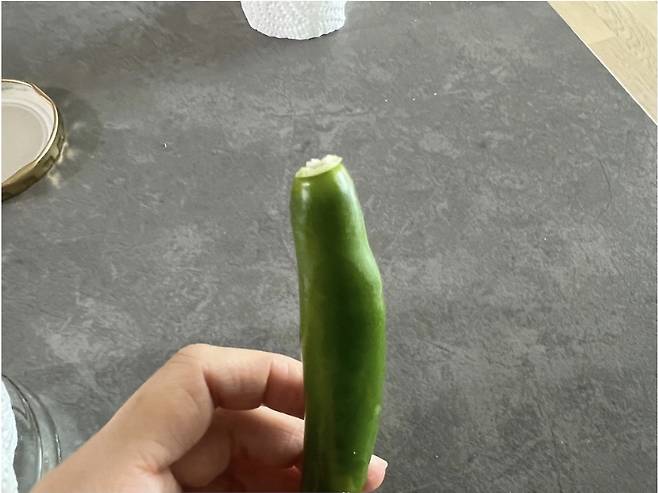 고추 얼리지 마세요~ 이렇게 보관하면 한 달 내내 싱싱해요~ 오늘살림루틴