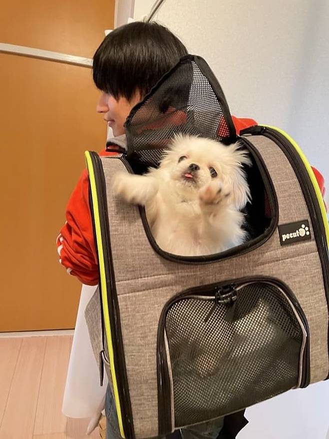 병원에 왔다는 사실 뒤늦게 깨닫고 주사 맞기 싫다며 도움 요청하는 강아지 애니멀 플래닛