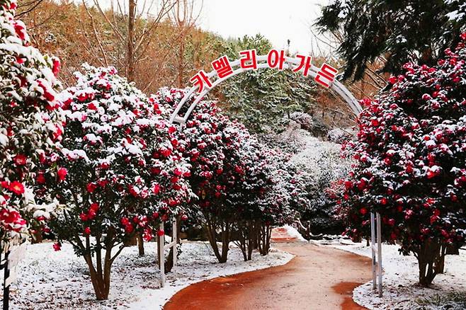 올겨울 최고의 추억 12월에 꼭 경험해야 할 겨울 축제 3곳 여행을말하다
