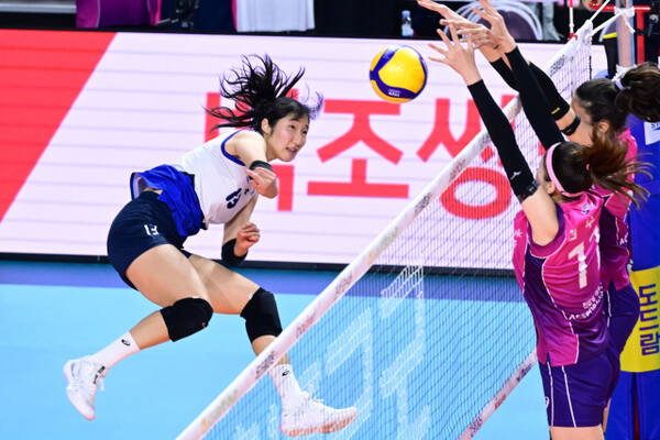 14연승 흥국생명 ‘난적 정관장·현대건설 상대 ‘연승행진 분수령