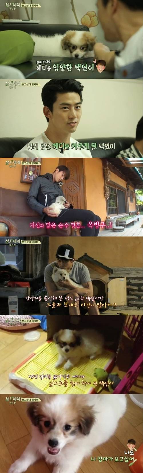 삼시세끼멤버여친과 공개♥열애 인정 셀럽뉴스