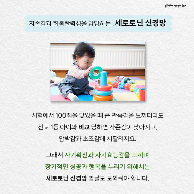 소아정신과 전문의 曰 아이를 망치는 최악의 부모 행동 No1은 꿀벌책방