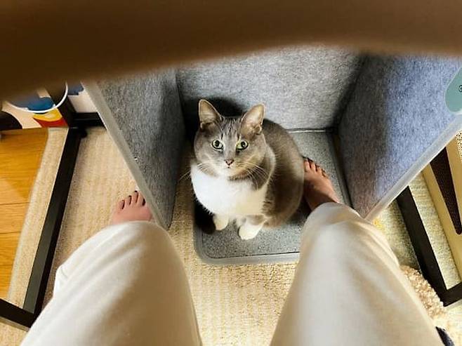 발이 너무 시려워서 발난로 틀어놓았는데 이상하게 안 따뜻했던 반전 이유 애니멀 플래닛