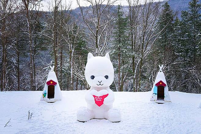 강원도 겨울 여행 끝판왕 놓치면 안 되는 필수 코스 여행을말하다