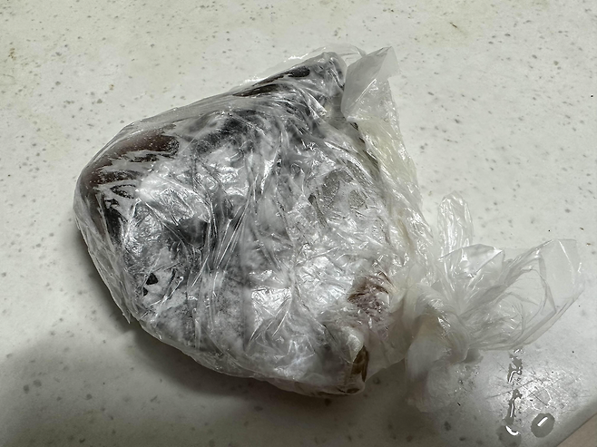 냉동고등어 해동하지 마세요 생선 구이집처럼 맛있게 굽는 방법 생활의지혜