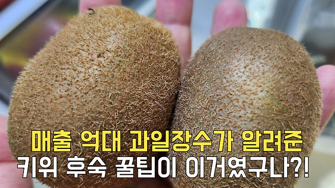 페트병 뚜껑 2개를 모아 사용했더니 놀랍네요 정말 율브레인