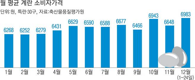 날개 단 계란값3년 만에 한 판 ‘7000원대 오르나