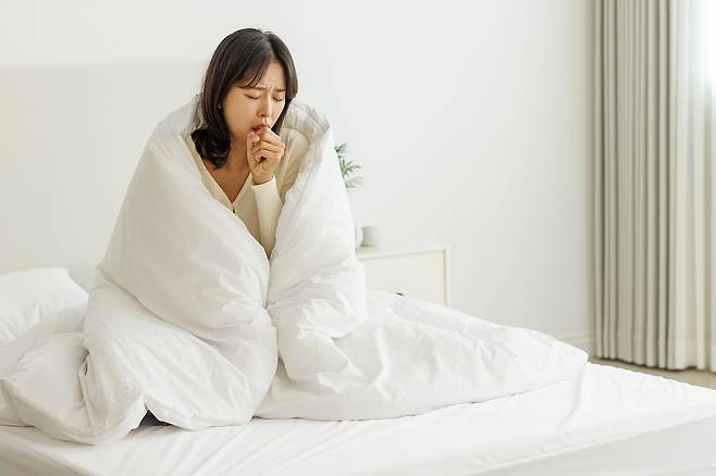 한겨울 매운 ‘생강차 계속 마셨더니 내 몸의 변화가