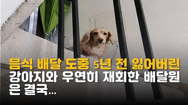 치킨집 사장 Vs 고객 인성대결 심리테스트 해볼래