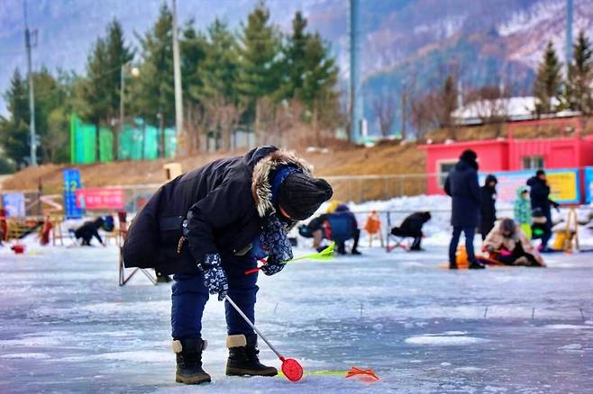 새해 겨울 축제와 함께 온 가족이 즐길 1월 국내 핫플레이스 여행탐구