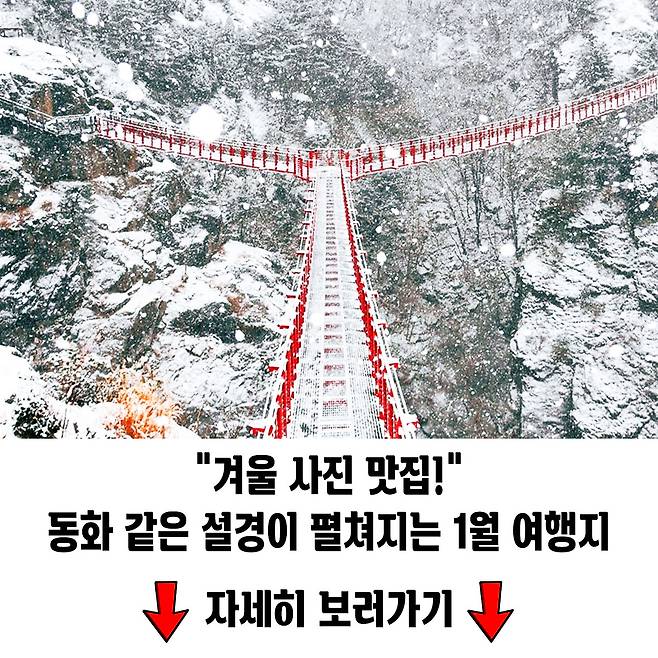사람들이 몰리는 데는 이유가 있다 새해 첫날 꼭 가봐야 할 일출 명소 여행을말하다