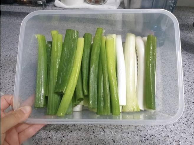 겨울엔 대파 사지 말고 이렇게 하세요 무한리필이 따로 없네~ 오늘살림루틴