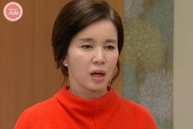 리즈시절 광고 출연료 집 한 채 값 받았다는 원조 국민 여동생 비주얼 뉴스에이드